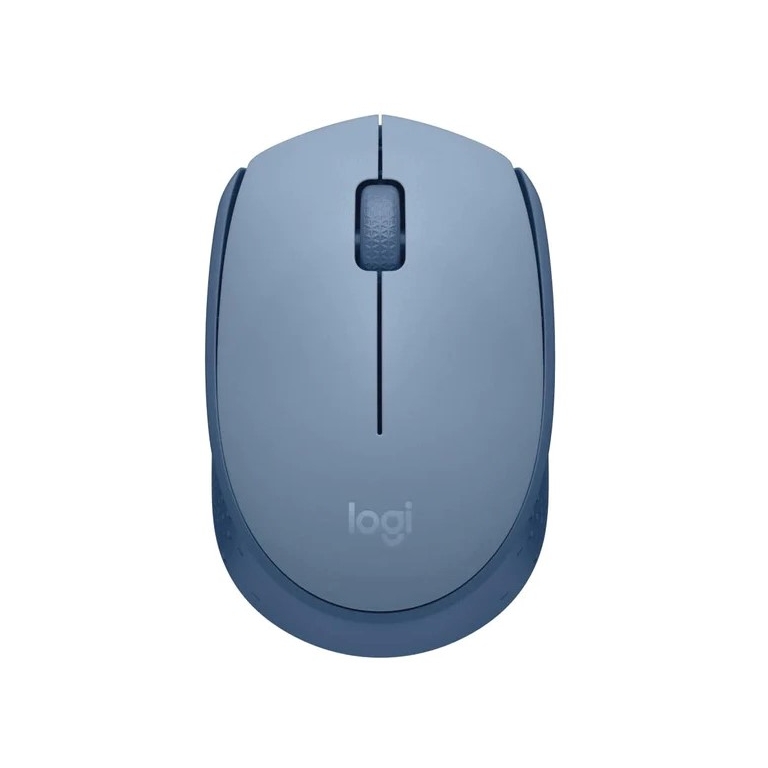 Logitech M171 Optical Wireless Office Mouse – Blue - Computech-Solutions